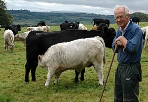 Greystoke Castle Farms Open Day; Blueprint for Suckled Calf Production