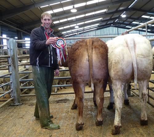 Primestock Buyers Out in Force at Skipton Auction Mart