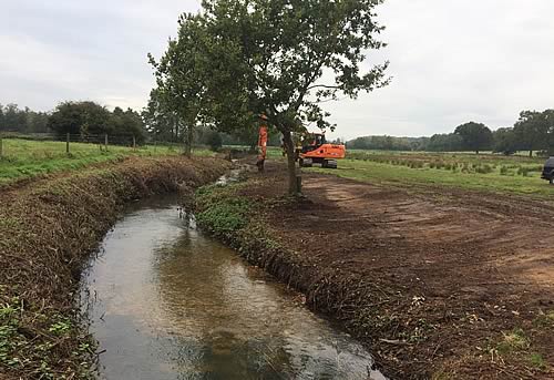 Restoration Project Returns Natural Characteristics to River